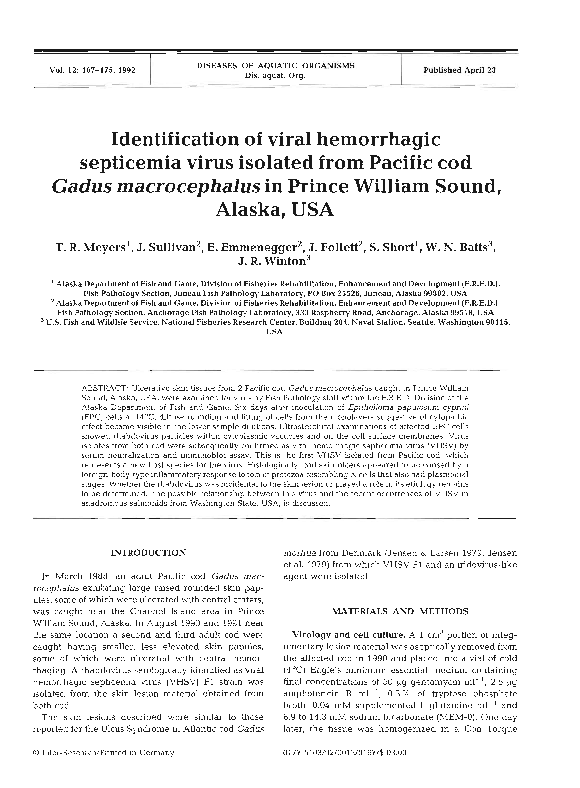 (PDF) Identification of viral hemorrhagic septicemia virus isolated ...