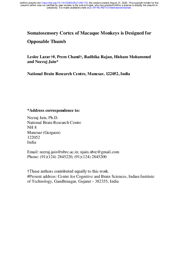 (PDF) Somatosensory cortex of macaque monkeys is designed for opposable ...