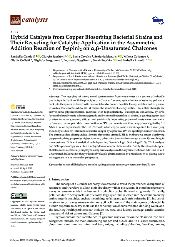 (PDF) Hybrid Catalysts from Copper Biosorbing Bacterial Strains and ...