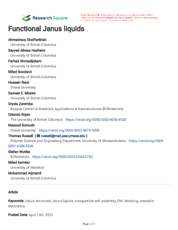 (PDF) Functional Janus liquids
