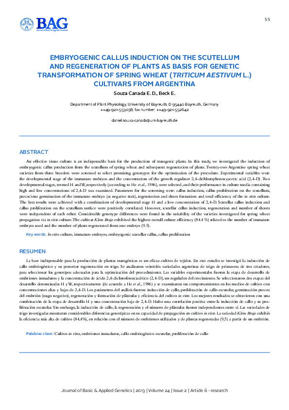 (PDF) Embryogenic Callus induction on the scutellum and regeneration of ...