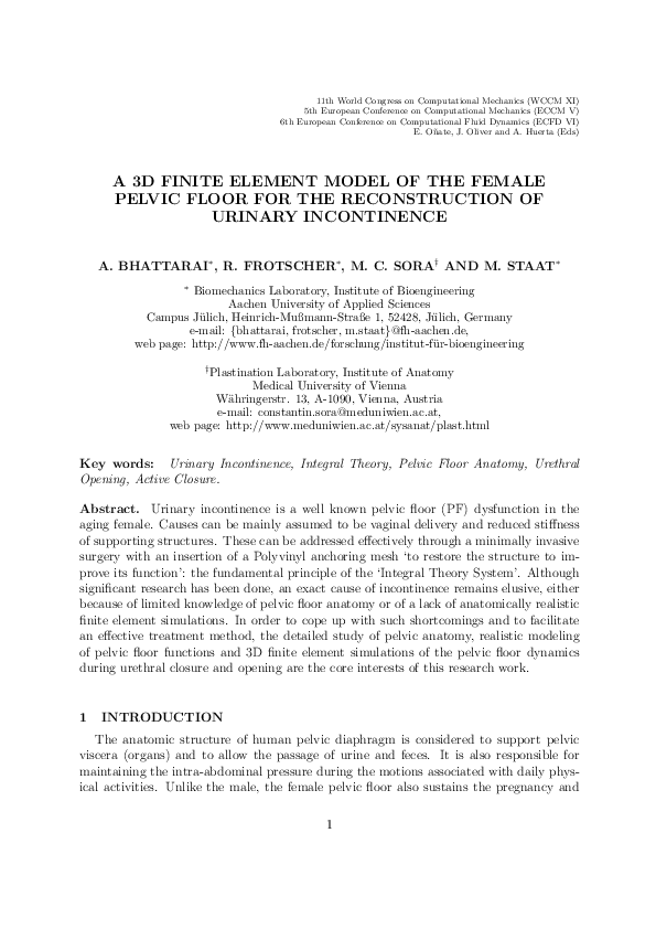 (PDF) A 3D finite element model of the female pelvic floor for the ...