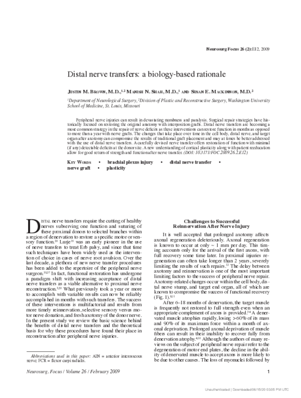 (PDF) Distal nerve transfers: a biology-based rationale