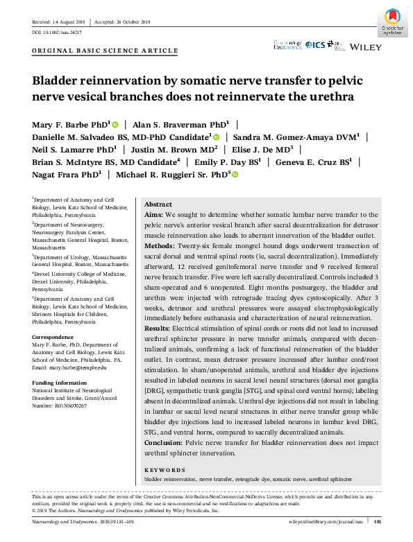 (PDF) Bladder reinnervation by somatic nerve transfer to pelvic nerve ...