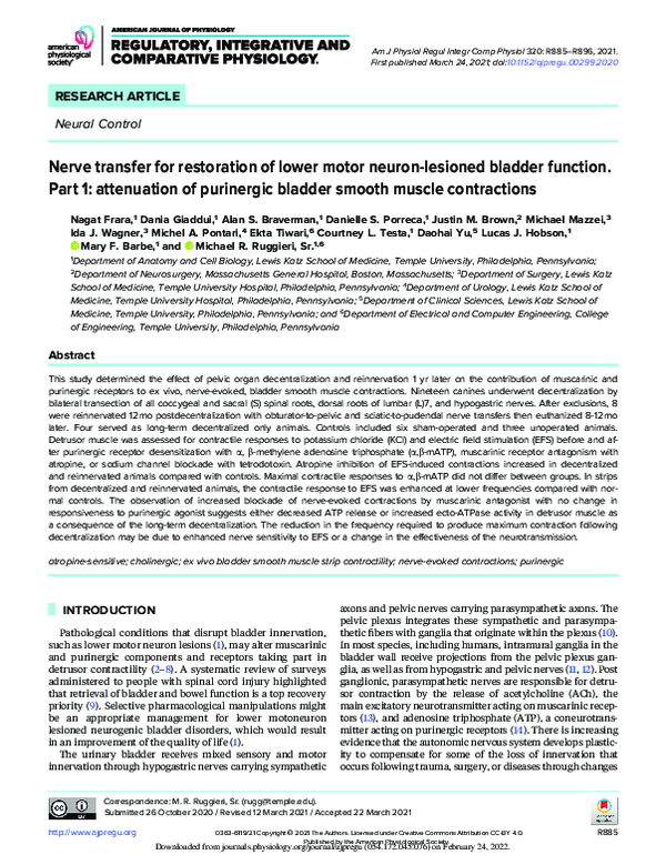 (PDF) Nerve transfer for restoration of lower motor neuron-lesioned ...