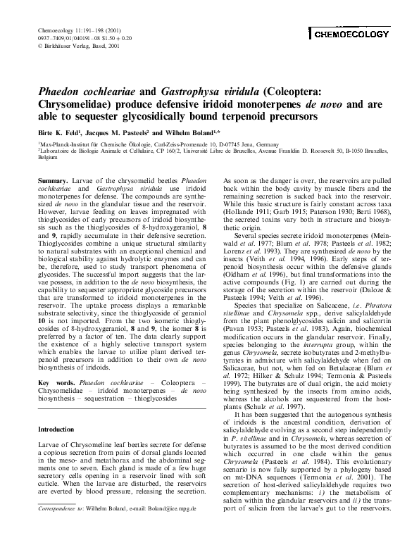 (PDF) Phaedon cochleariae and Gastrophysa viridula (Coleoptera ...