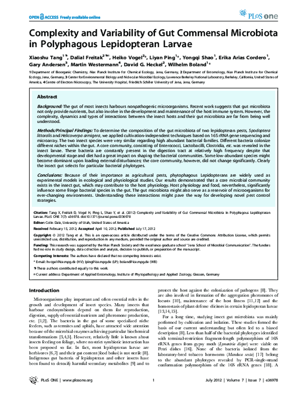 (PDF) Complexity and Variability of Gut Commensal Microbiota in ...