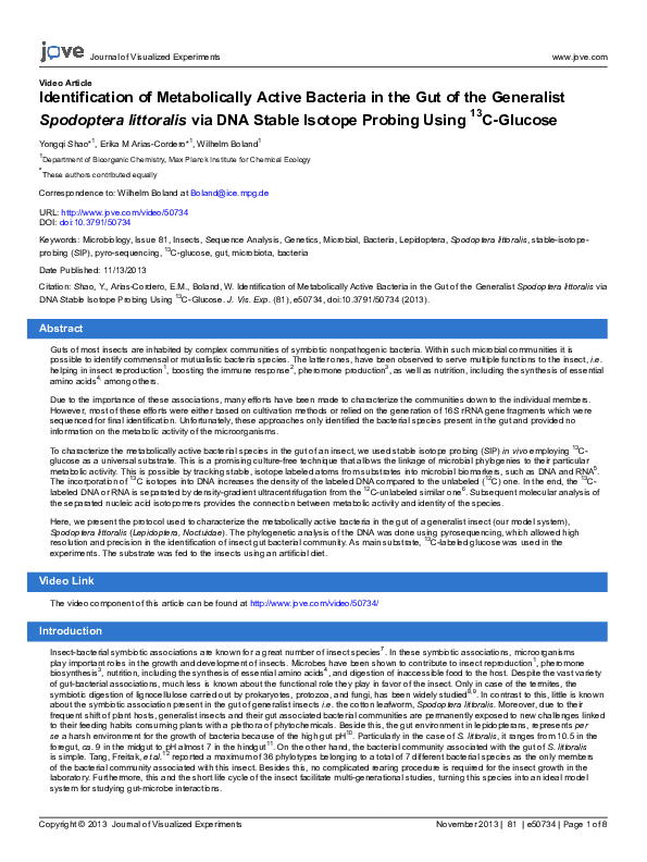 (PDF) Identification of Metabolically Active Bacteria in the Gut of the ...