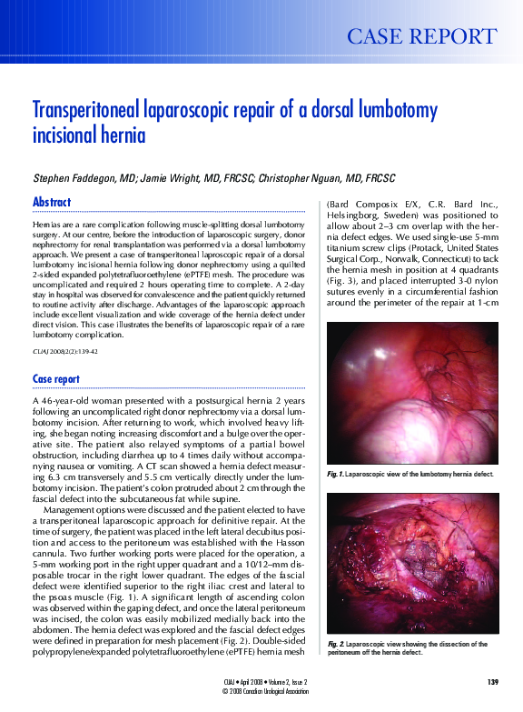 (PDF) Transperitoneal laparoscopic repair of a dorsal lumbotomy ...