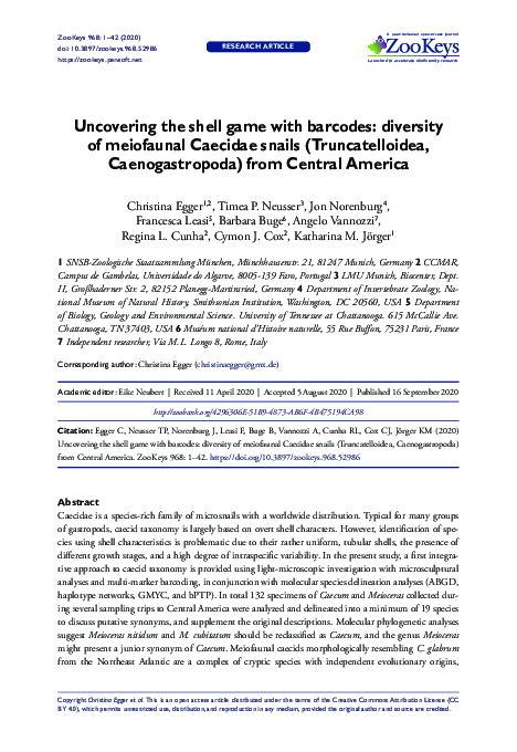 (PDF) Uncovering the shell game with barcodes: diversity of meiofaunal ...