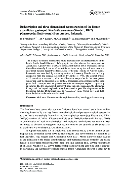 (PDF) Redescription and three-dimensional reconstruction of the limnic ...