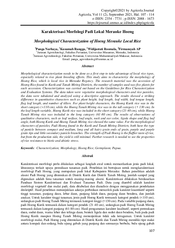 (PDF) Morphological Characterization of Hoeng Merauke Local Rice