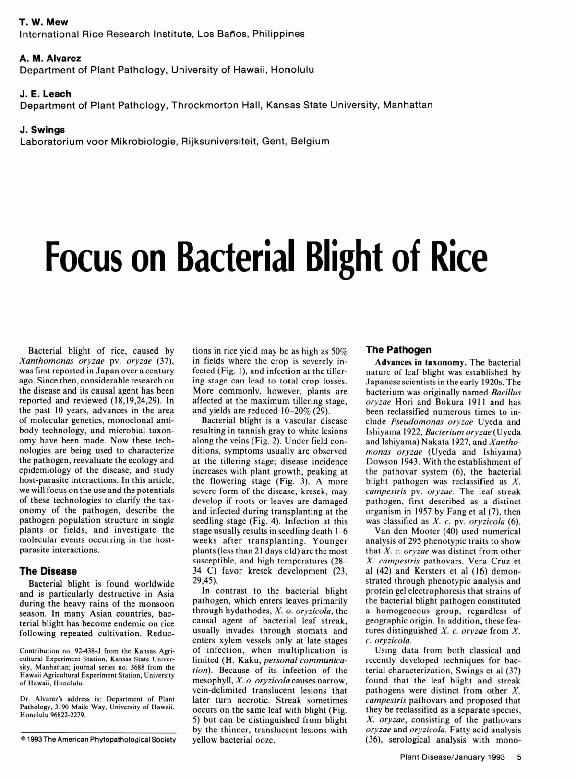 (PDF) Focus on Bacterial Blight of Rice