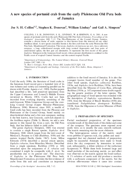 (PDF) A new species of portunid crab from the early Pleistocene Old ...