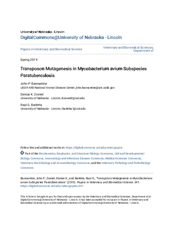 (PDF) Transposon Mutagenesis in Mycobacterium avium Subspecies Paratuberculosis