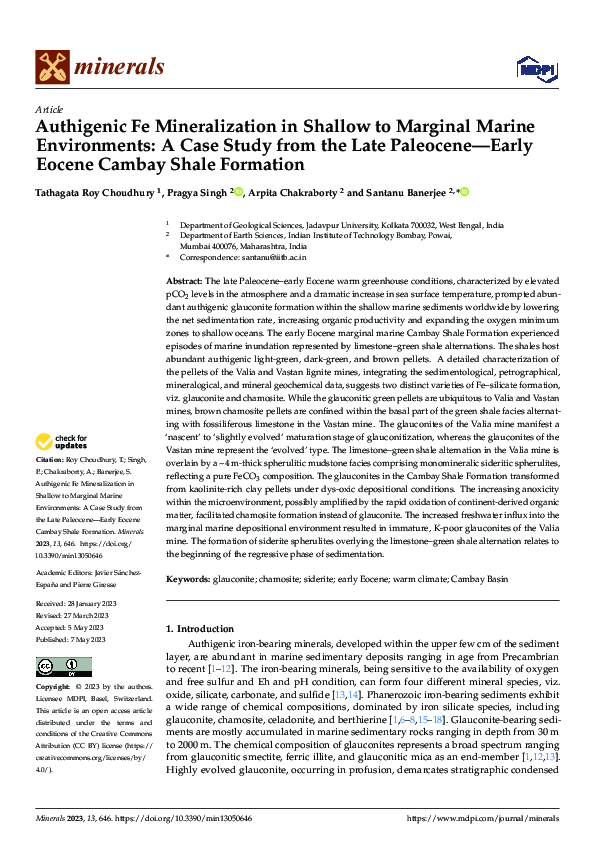 (PDF) Authigenic Fe Mineralization in Shallow to Marginal Marine ...