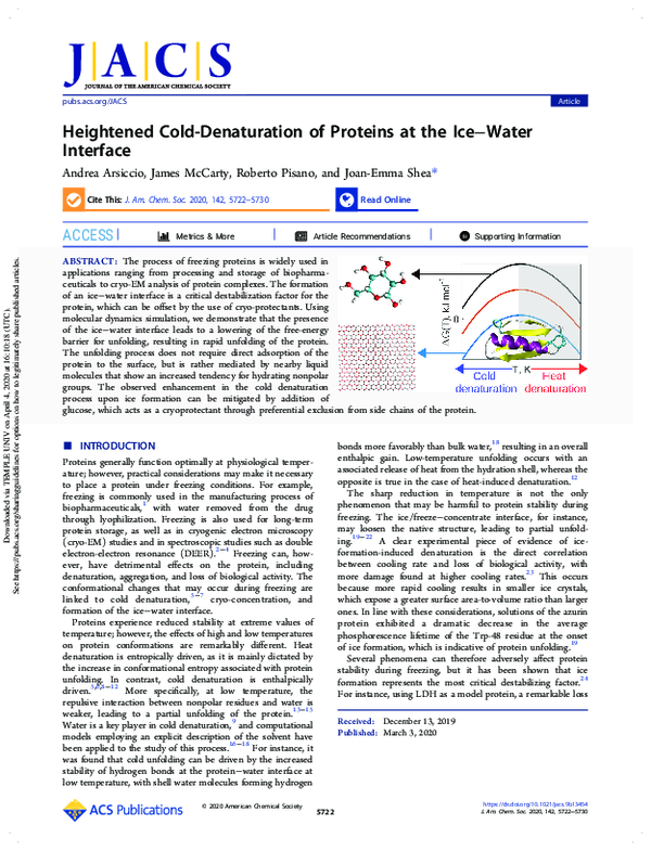 (PDF) Heightened Cold-Denaturation of Proteins at the Ice-Water Interface