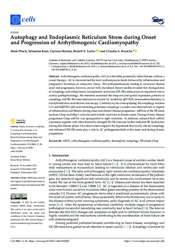 (PDF) Autophagy and Endoplasmic Reticulum Stress during Onset and ...