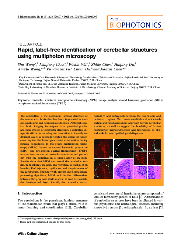 (PDF) Rapid, label-free identification of cerebellar structures using ...