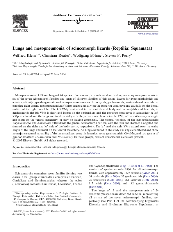 (PDF) Lungs and mesopneumonia of scincomorph lizards (Reptilia: Squamata)