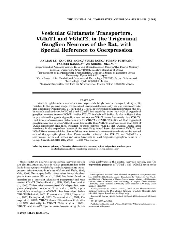 (PDF) Vesicular glutamate transporters VGLUT1 and VGLUT2 in the ...