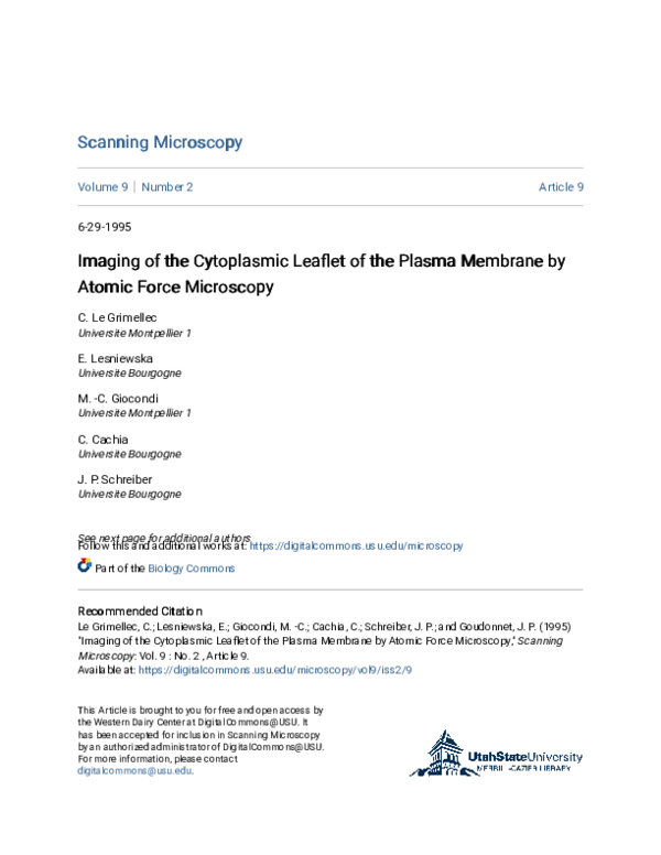 (PDF) Imaging of the cytoplasmic leaflet of the plasma membrane by ...
