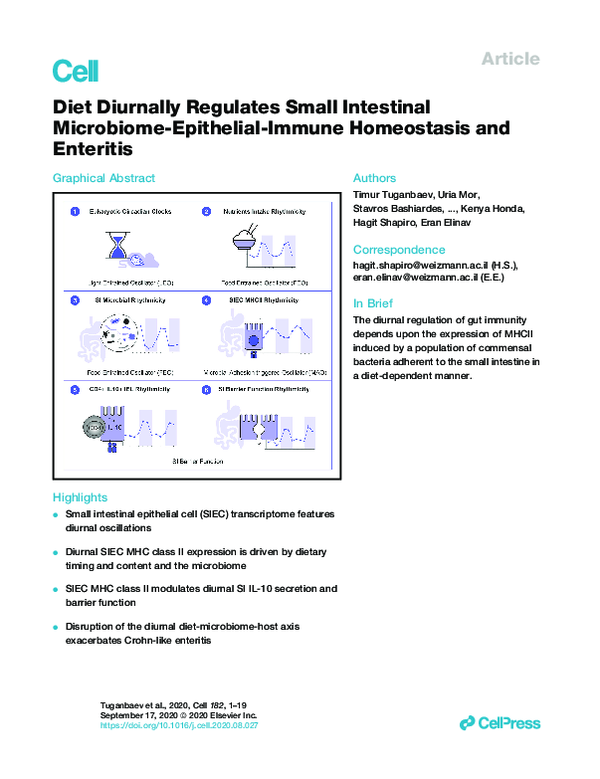 (PDF) Diet Diurnally Regulates Small Intestinal Microbiome-Epithelial ...
