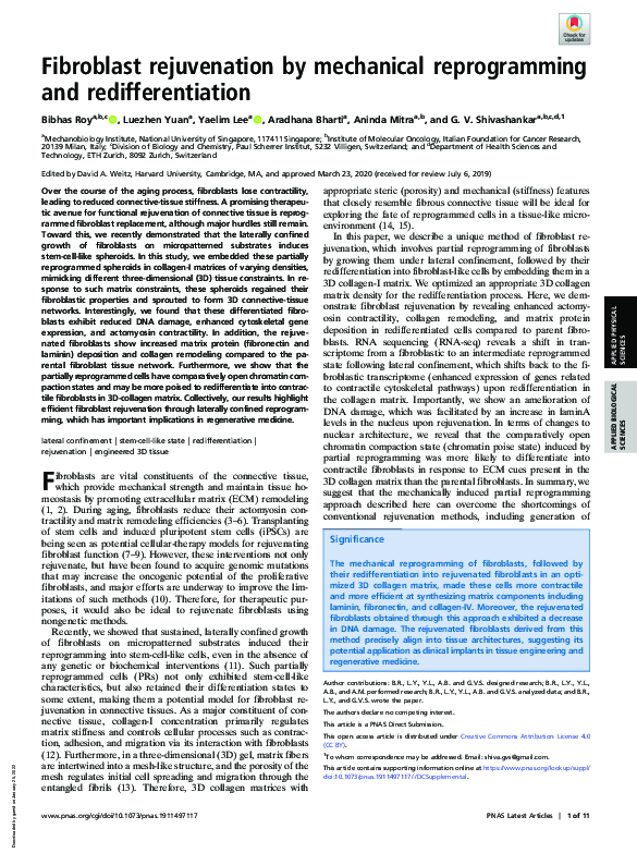 (PDF) Fibroblast rejuvenation by mechanical reprogramming and ...