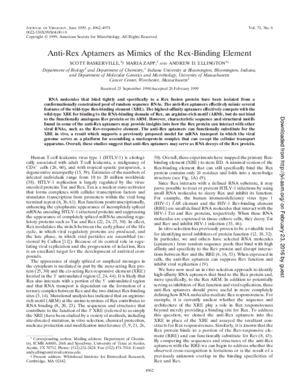 (PDF) Anti-Rex Aptamers as Mimics of the Rex-Binding Element