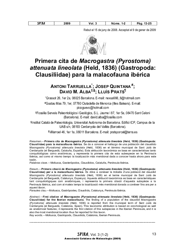 (PDF) Primera cita de Macrogastra (Pyrostoma) attenuata lineolata (Held ...