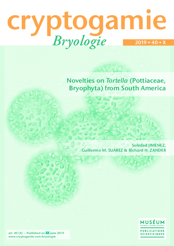 (PDF) Novelties on Tortella (Pottiaceae, Bryophyta) from South America