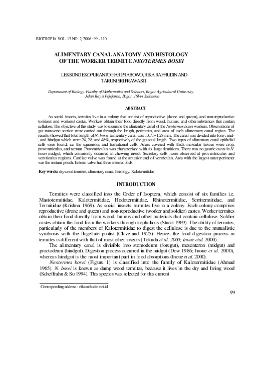 (PDF) Alimentary Canal Anatomy and Histology of the Worker Termite ...