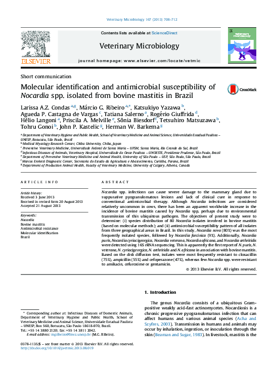 (PDF) Molecular identification and antimicrobial susceptibility of ...