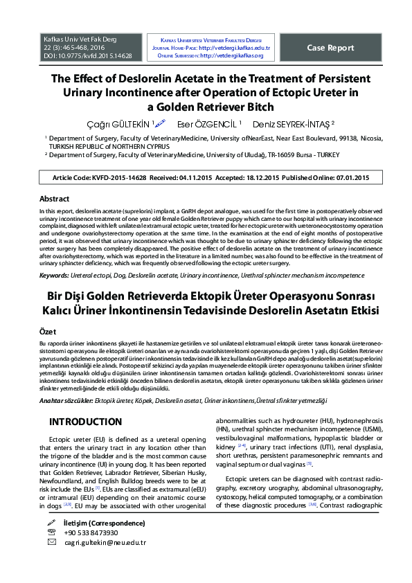 (PDF) The Effect of Deslorelin Acetate in the Treatment of Persistent Urinary Incontinence After ...
