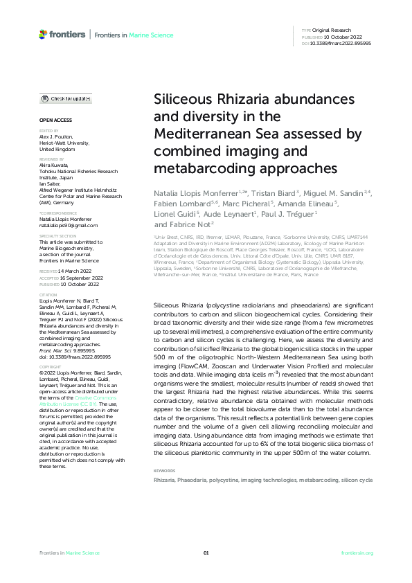 (PDF) Siliceous Rhizaria abundances and diversity in the Mediterranean ...