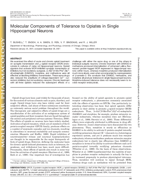 (PDF) Molecular Components of Tolerance to Opiates in Single ...