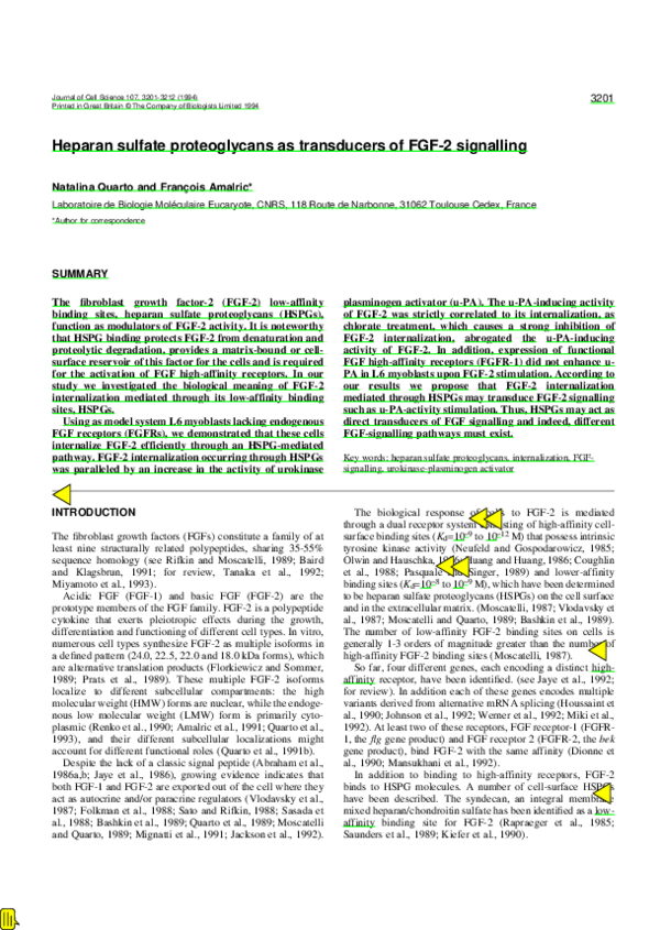 (PDF) Heparan sulfate proteoglycans as transducers of FGF-2 signalling