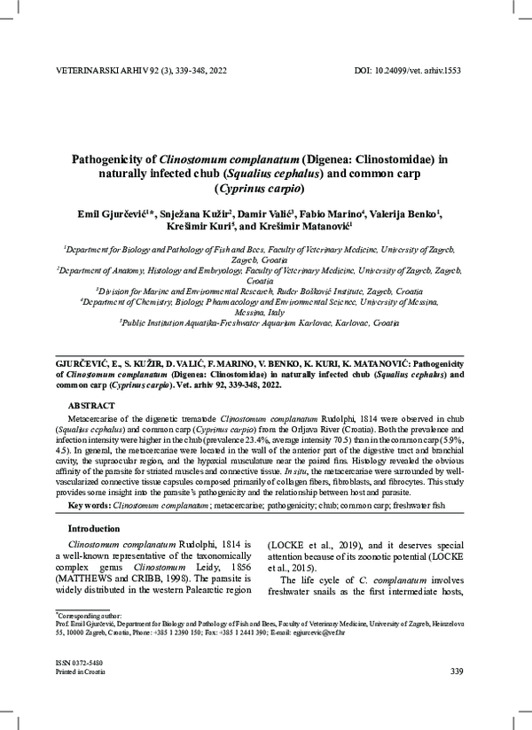 (PDF) Pathogenicity of Clinostomum complanatum (Digenea: Clinostomidae ...