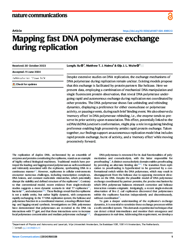 (PDF) Mapping fast DNA polymerase exchange during replication