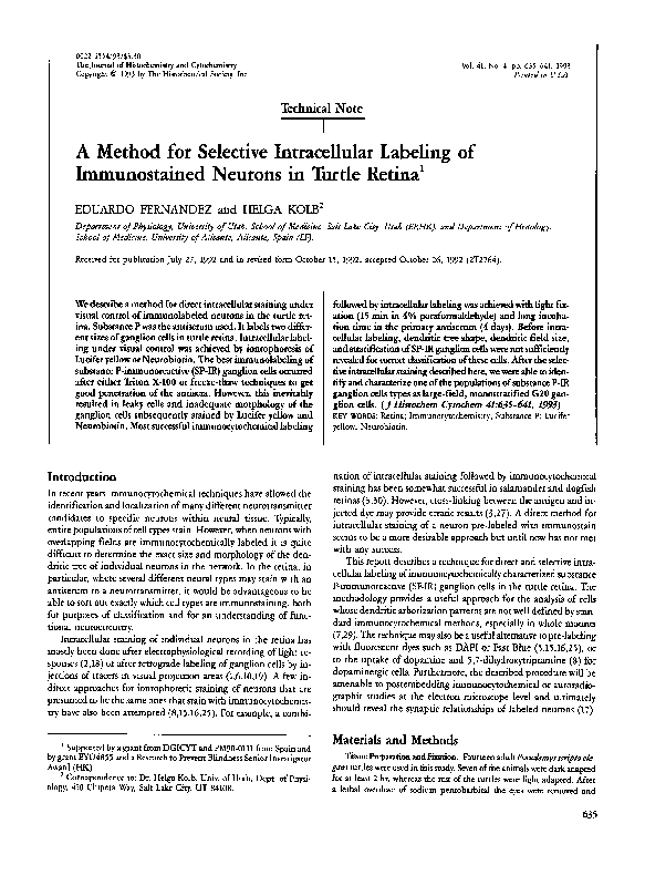 (PDF) A method for selective intracellular labeling of immunostained ...