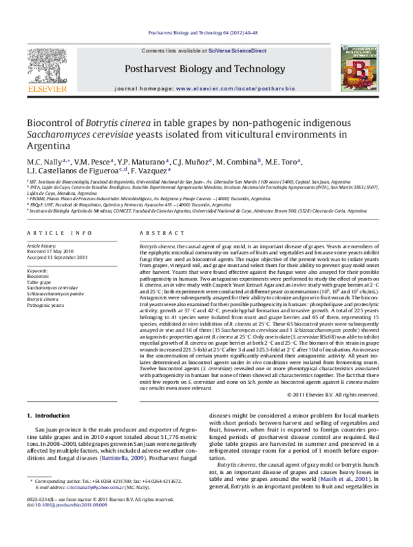 (PDF) Biocontrol of Botrytis cinerea in table grapes by non-pathogenic indigenous Saccharomyces ...