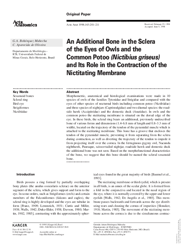 (PDF) An Additional Bone in the Sclera of the Eyes of Owls and the ...