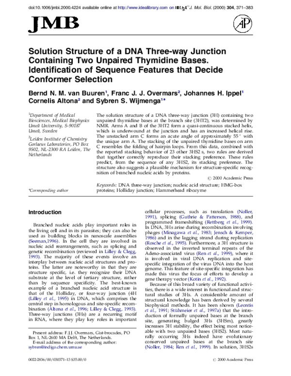 (PDF) Solution structure of a DNA three-way junction containing two ...