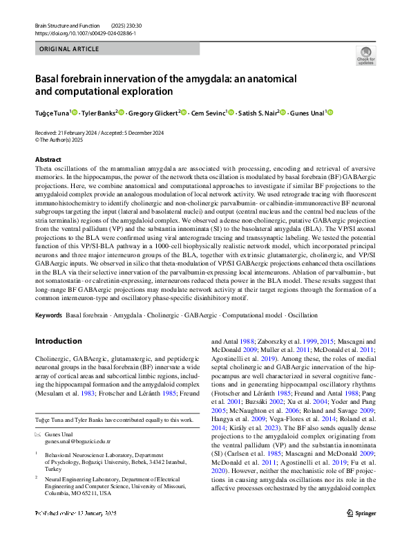 (PDF) Basal forebrain innervation of the amygdala: an anatomical and ...