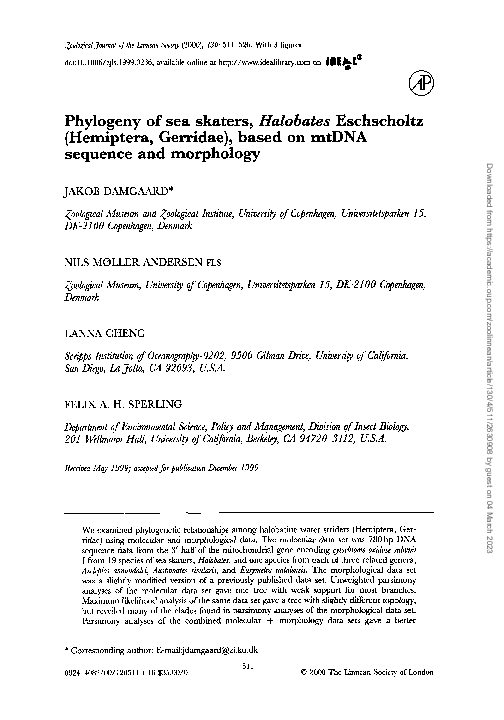 (PDF) Phylogeny of sea skaters, Halobates Eschscholtz (Hemiptera ...