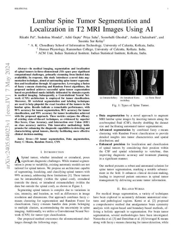 (PDF) Lumbar Spine Tumor Segmentation and Localization in T2 MRI Images ...