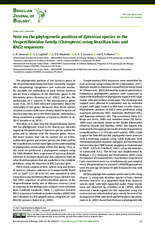 (PDF) Note on the phylogenetic position of Eptesicus species in the ...