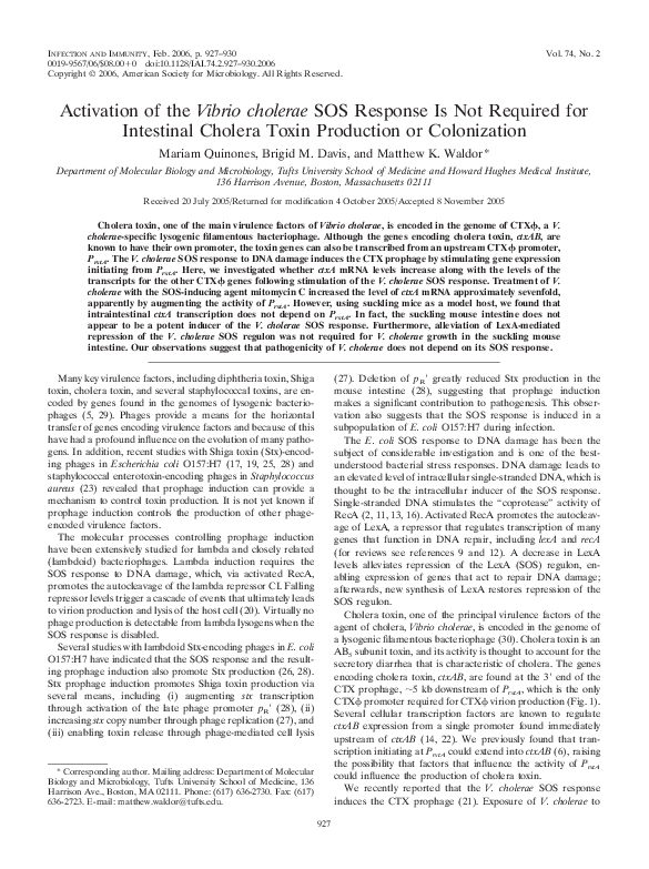 (PDF) Activation of the Vibrio cholerae SOS Response Is Not Required ...