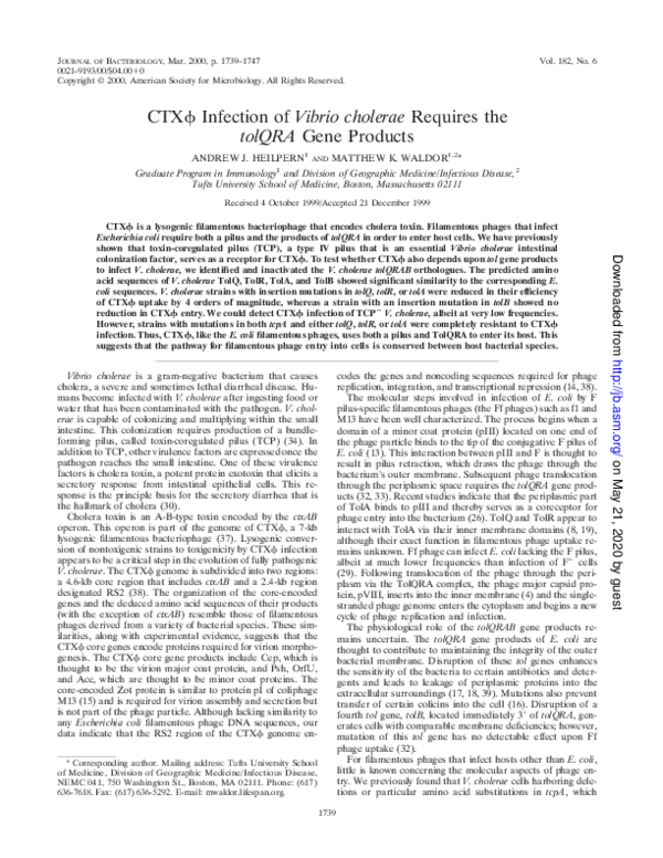 (PDF) CTXφ Infection of Vibrio cholerae Requires the tolQRA Gene Products