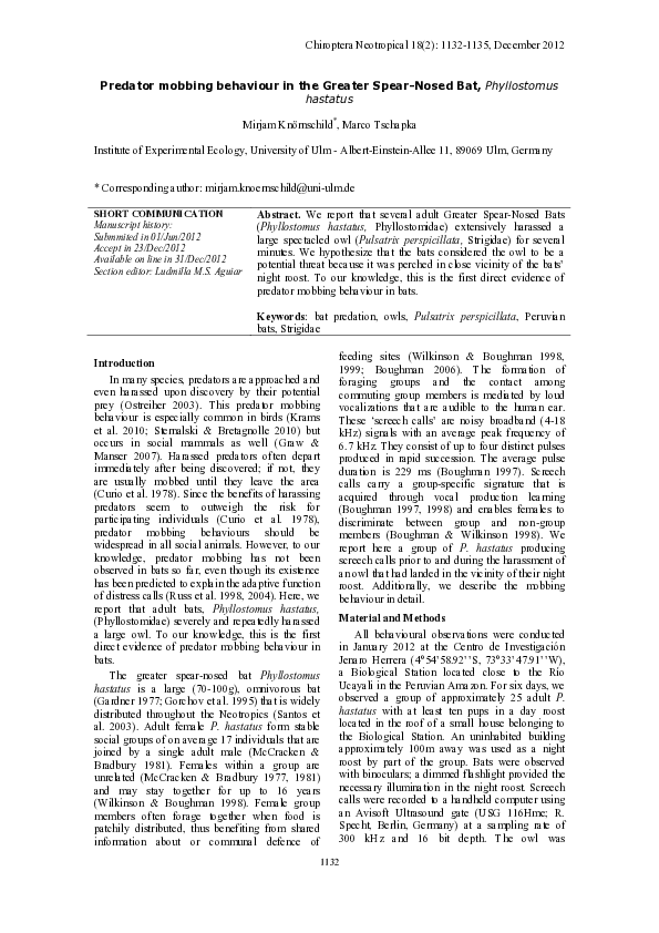 (PDF) Predator mobbing behaviour in the Greater Spear-Nosed Bat ...